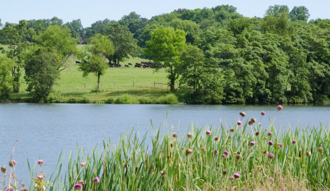 Lancaster Clean Water Partners | Sustainable Chesapeake