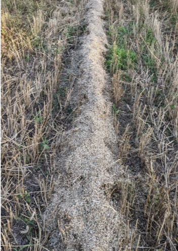 Innovations in Controlled Traffic Farming: Building Resilient ...