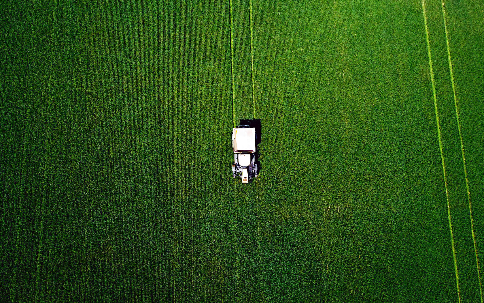 Sustainable Chesapeake | Bridging the gap between agriculture and ...